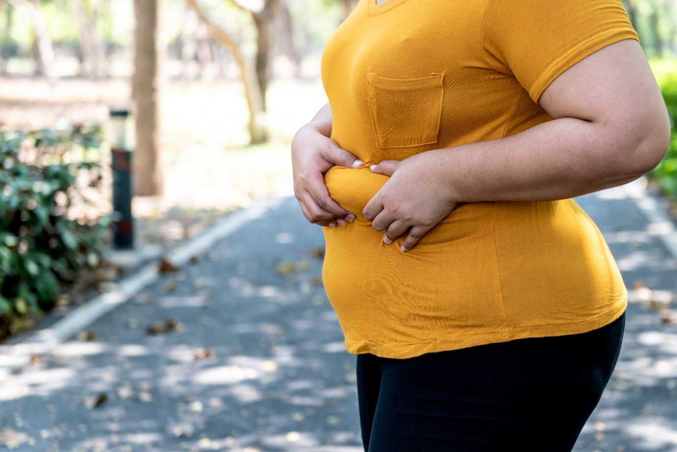 Effective Homeopathy Solutions for Obesity: A Holistic Approach - Dr ...